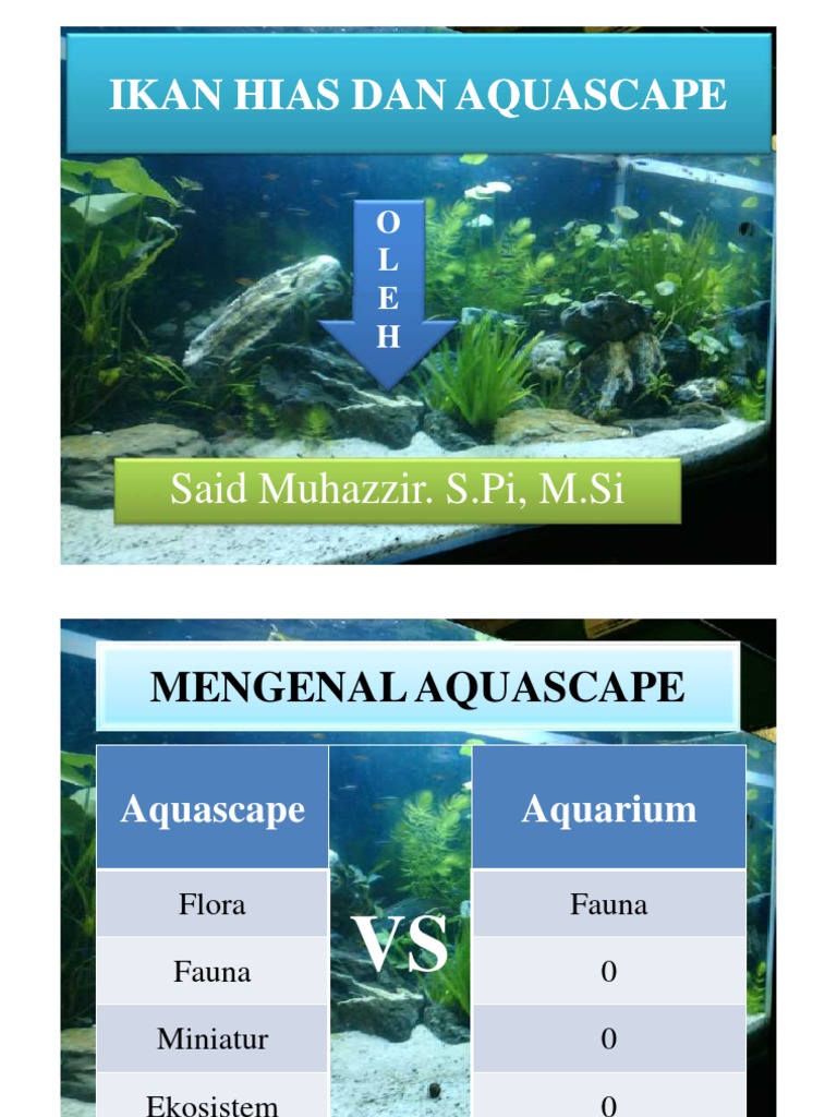 Aquascape PDF | PDF