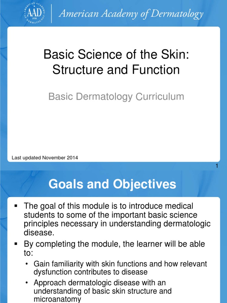 AAD Basic Skin | Download Free PDF | Epidermis | Cutaneous Conditions
