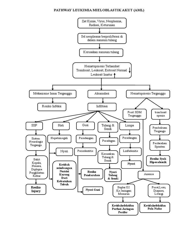 Pathway AML | PDF