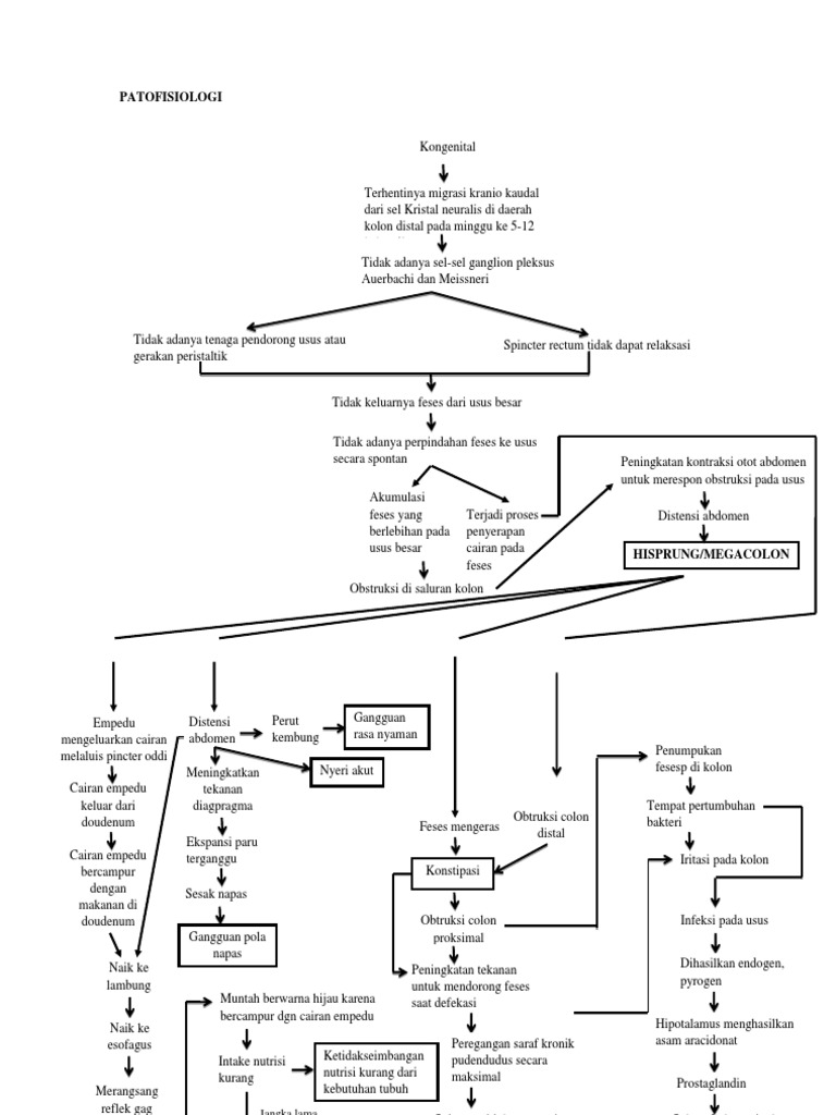 Hisprung Pathway | PDF