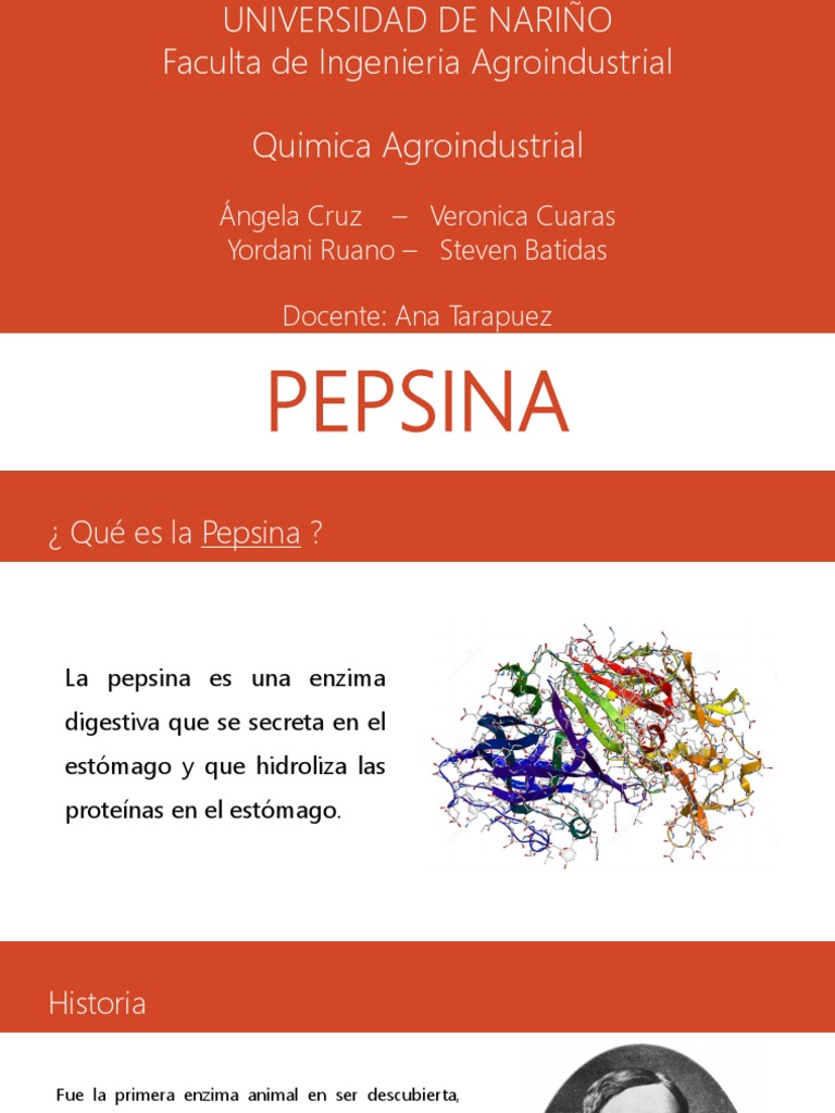Diapositivas de Pepsina | PDF | Digestión | Enzima