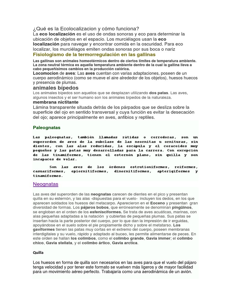 Qué Es La Ecolocalizacion y Cómo Funciona | PDF | Tetrápodos | Aves Qué Es La Ecolocalizacion y Cómo Funciona | PDF | Tetrápodos | Aves