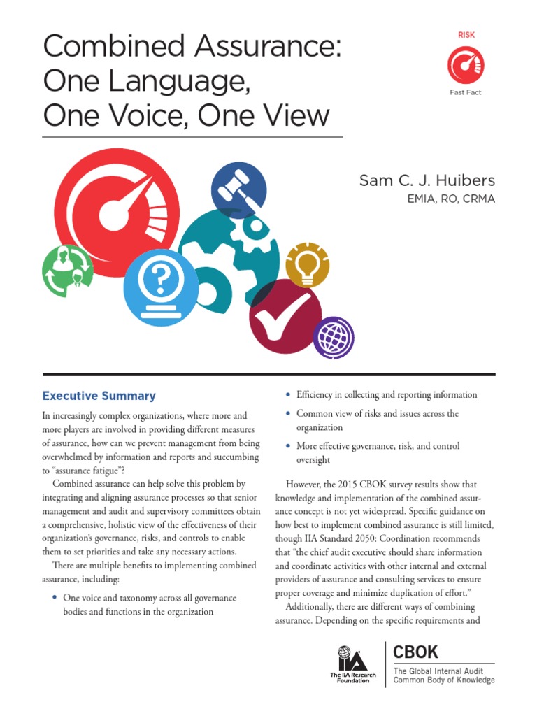 2015-1481 Combined Assurance CBOK IIARF S.huibers | PDF | Internal ...