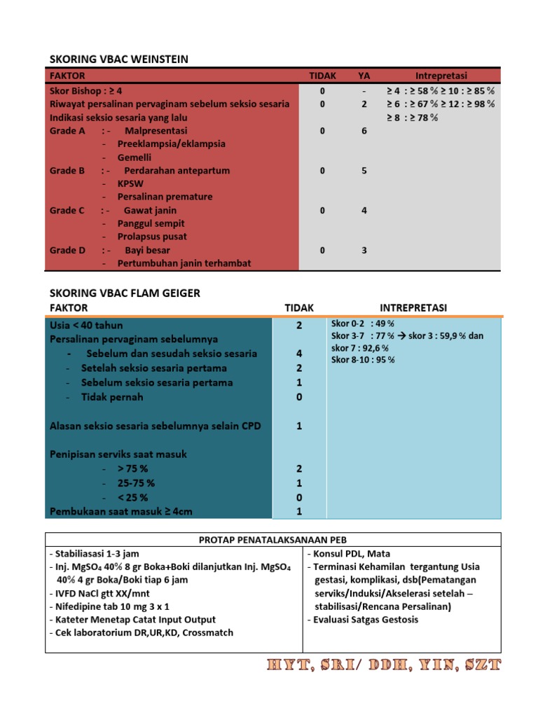 Skoring Vbac Bs Za It | PDF