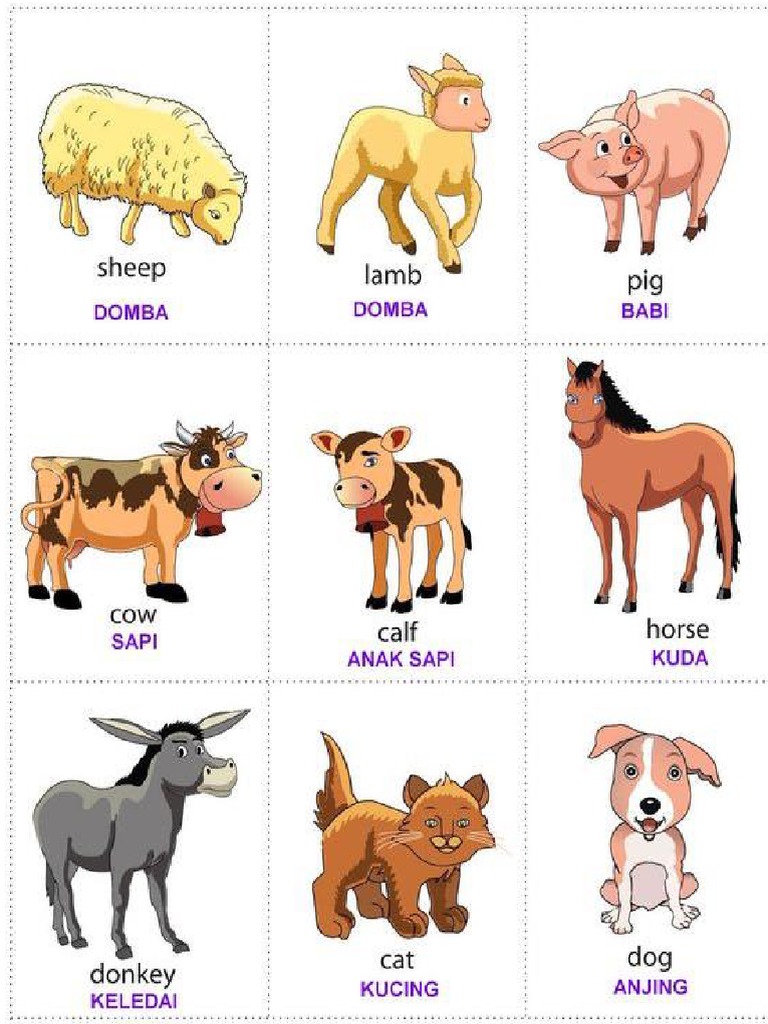 Flashcard Binatang | PDF