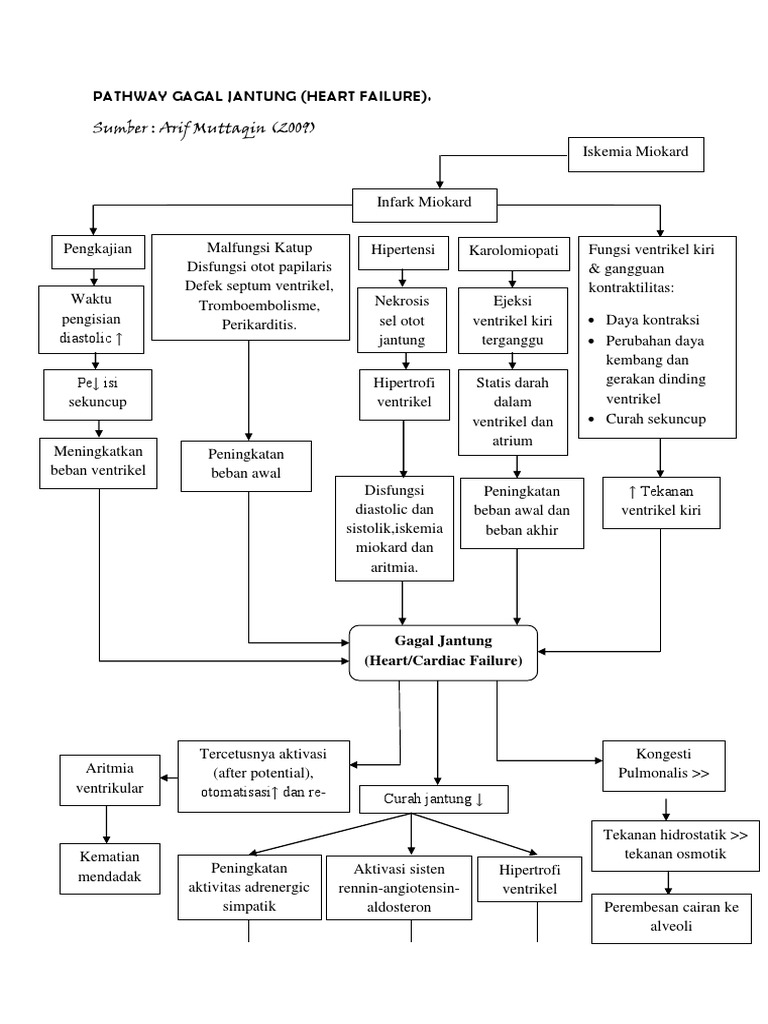 Pathway Gagal Jantung (HF) - From Askep DG G3 Sistem Kardio Dan ...