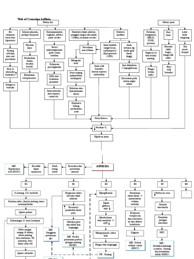 T10 - Kritis 2 - WOC Asfiksia Pada Bayi - A1 | PDF