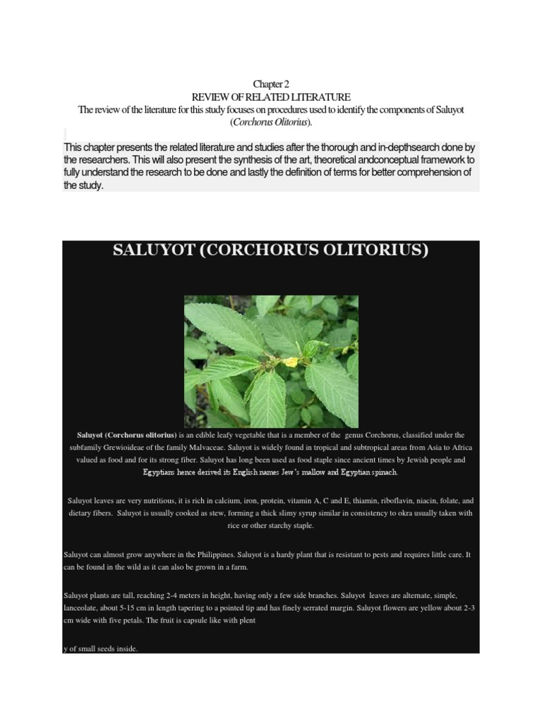 Saluyot | Jute | Vitamin