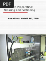 Grossing Guidelines for Pathology Specimens | PDF | Kidney | Placenta