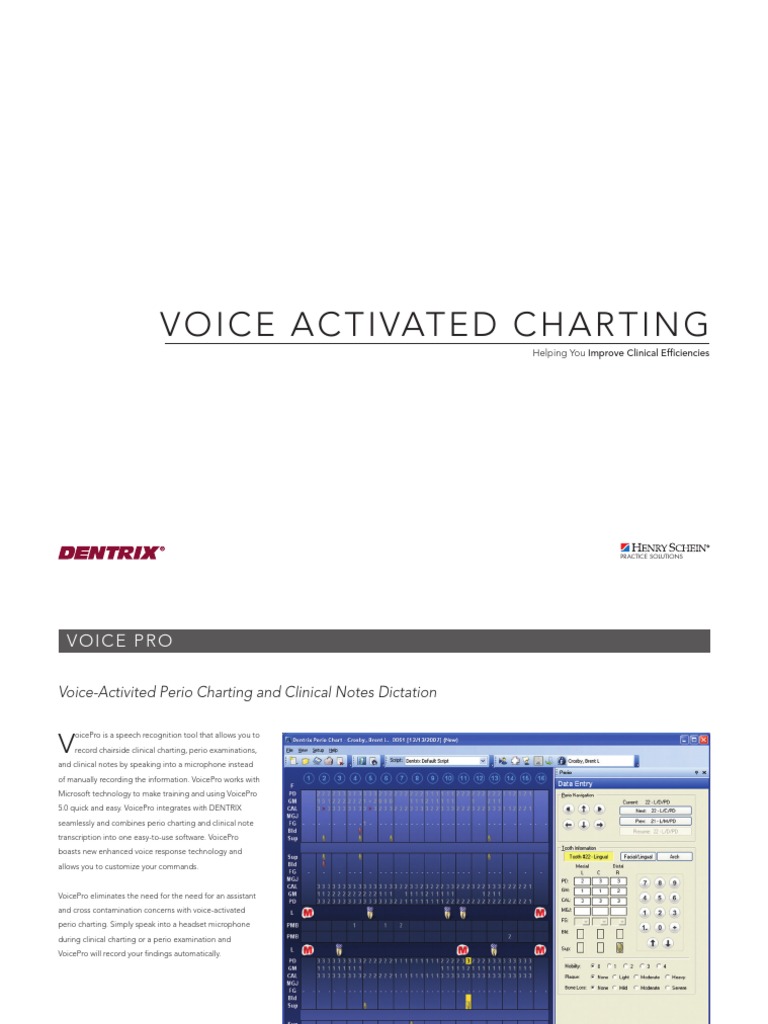 Voice Activated Charting | PDF