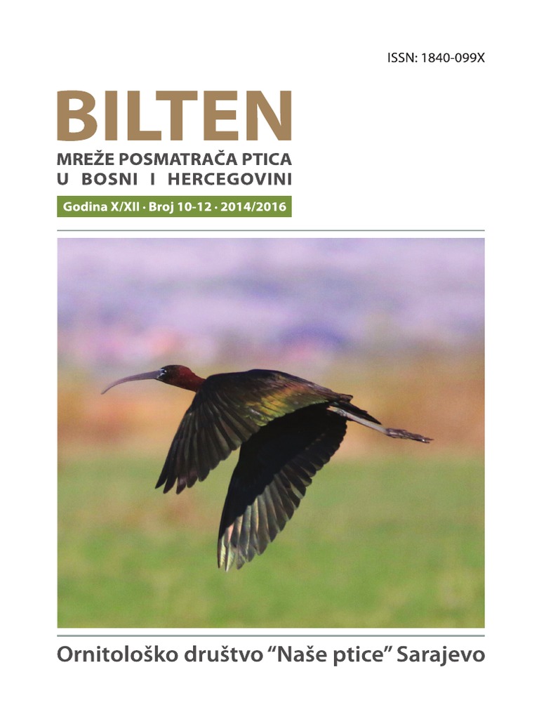 Naše Ptice - Bilten BR 10-11-12 | PDF