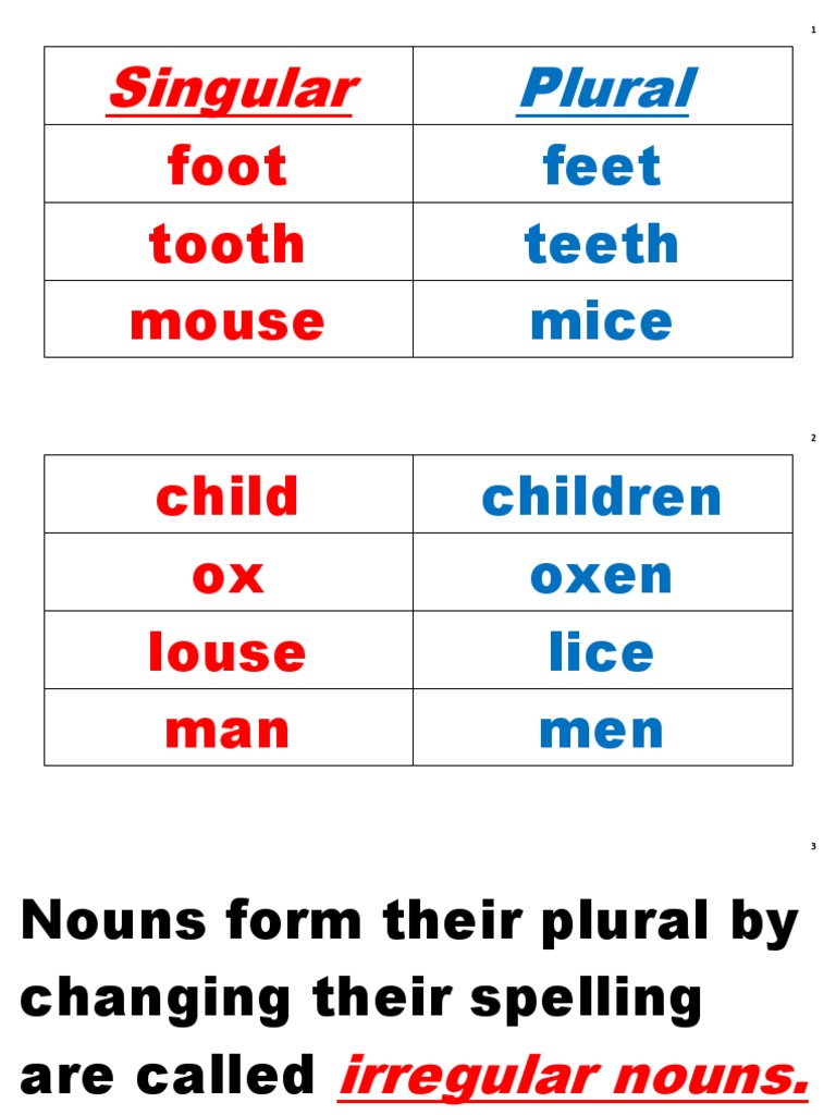 Singular: Foot Tooth Mouse | PDF