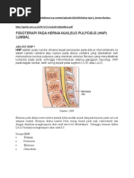 Pathway HNP | PDF