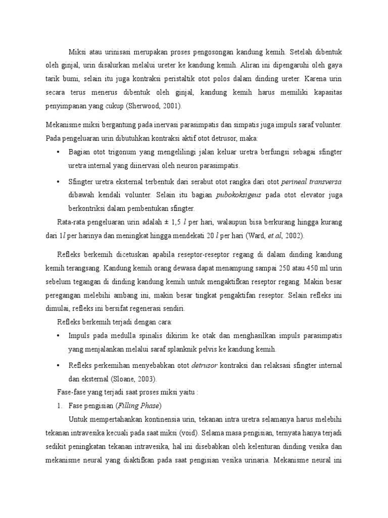 Proses Miksi | PDF