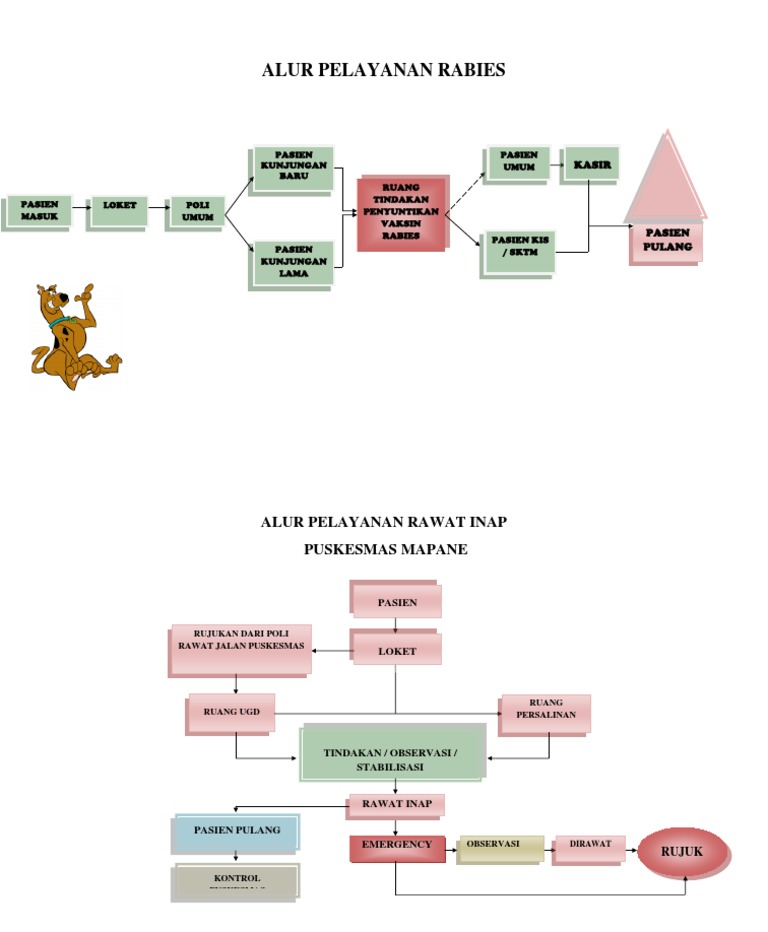 Alur Rabies & Rawat Inap | PDF