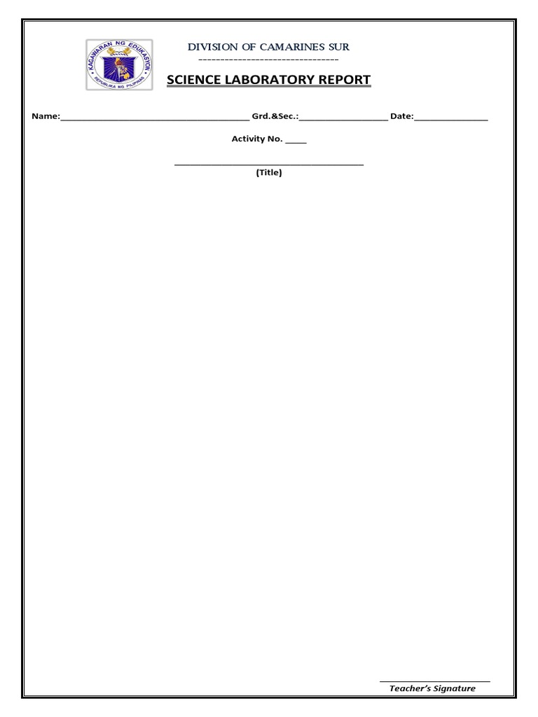 Lab Report | PDF