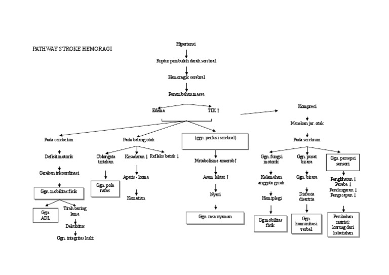 Pathway Stroke Hemoragik | PDF