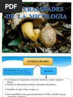 Cuadro Comparativo Entre Hongos Virus y Bacterias | PDF | Las bacterias ...