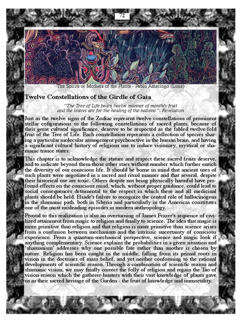 True Hallucinations - Terence Mckenna | PDF | Cannabis | Religion And ...