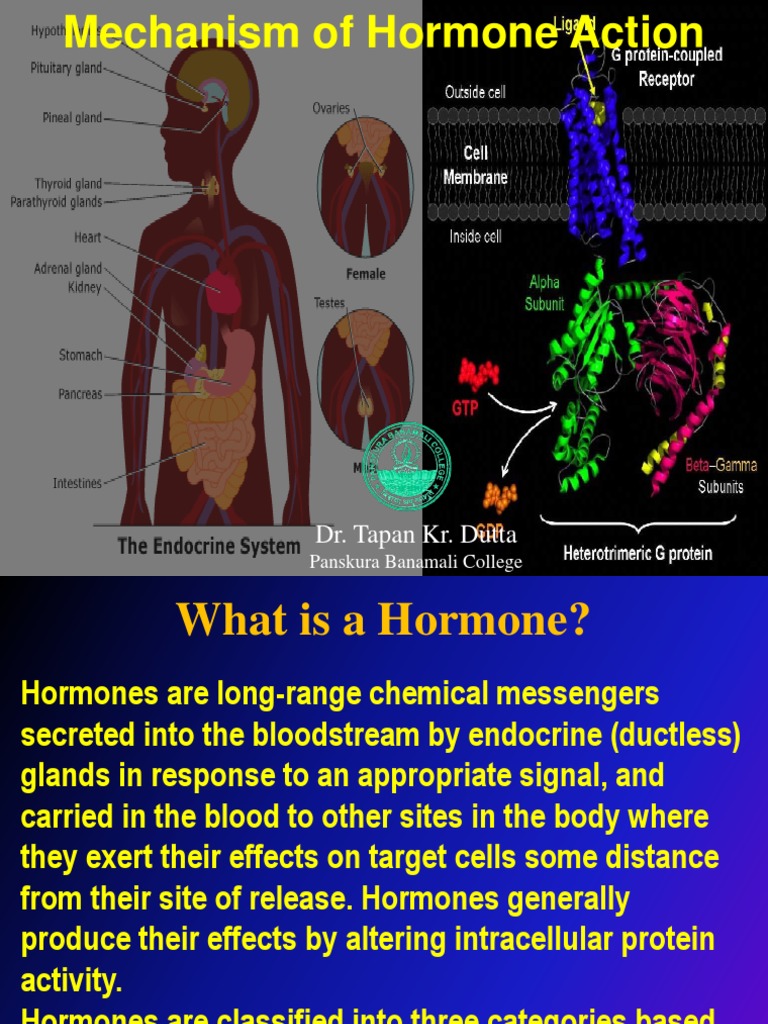 Mechanism of Hormone Action | PDF | Hormone | Receptor (Biochemistry)
