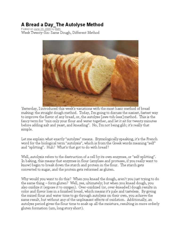 A Bread A Day - The Autolyse Method | PDF | Breads | Dough