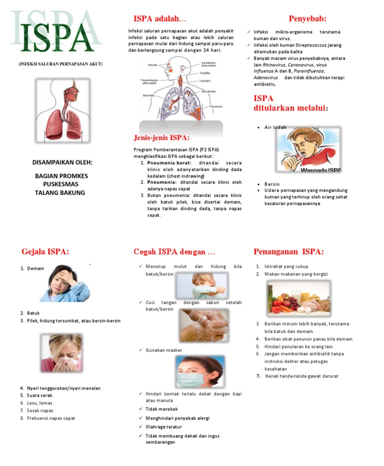 Ispa Brosur | PDF
