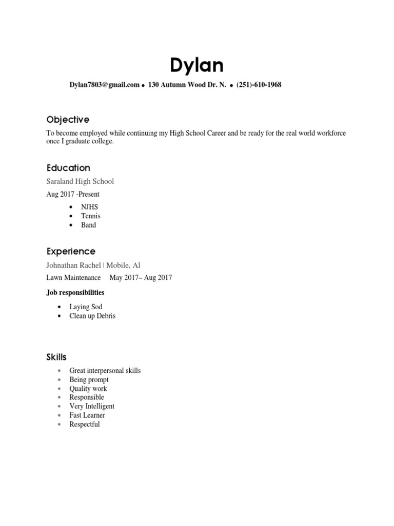 Dylan Resume | PDF