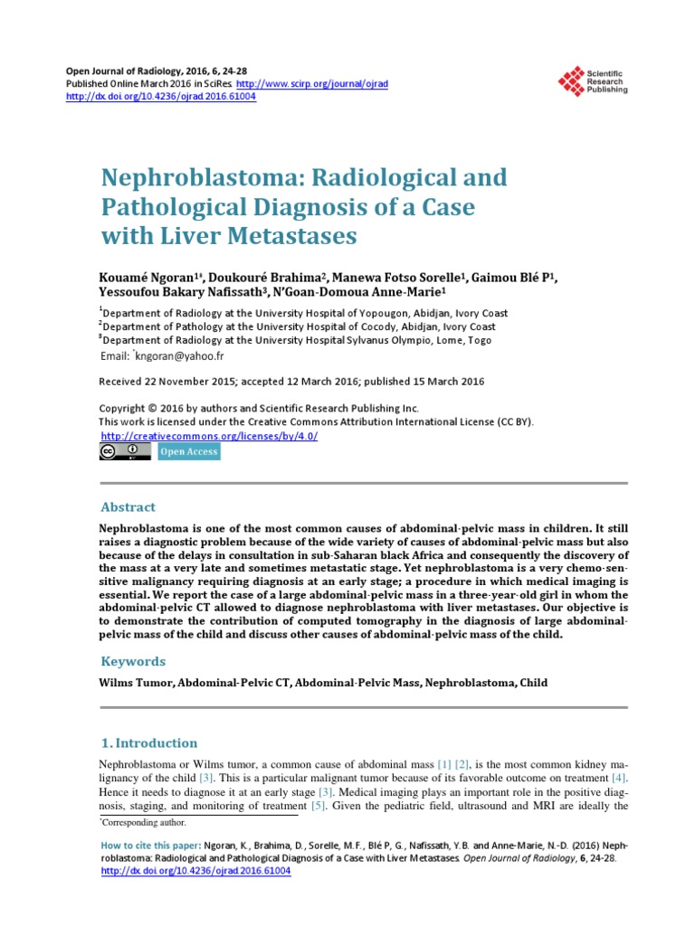 Nephroblastoma: Radiological and Pathological Diagnosis of A Case With ...