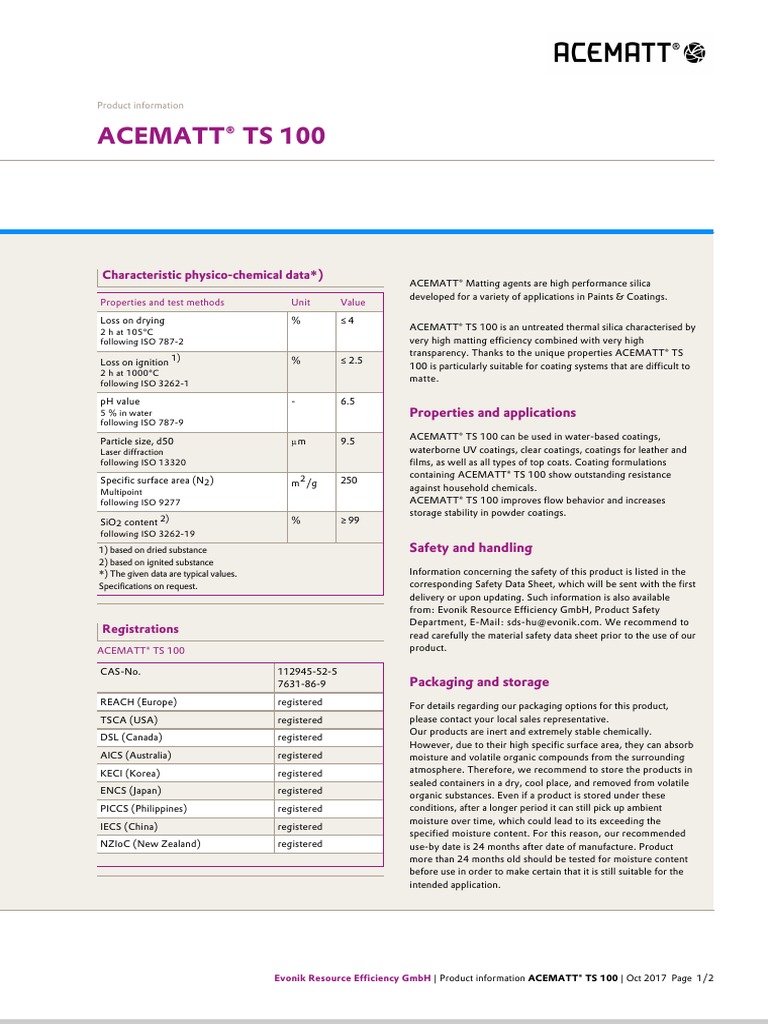 Acematt Ts 100 en | PDF | Paint | Materials