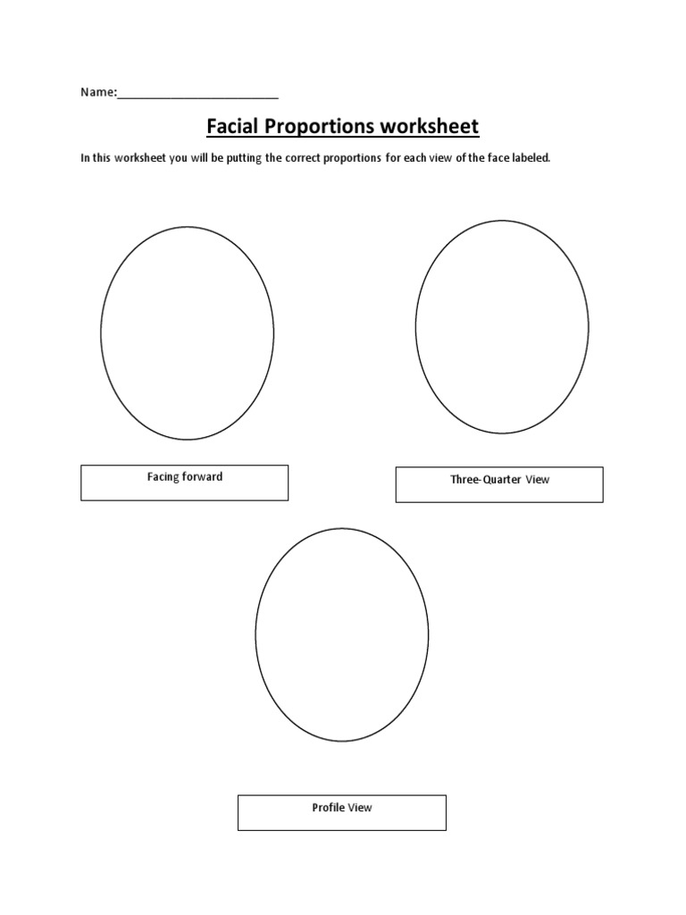Facial Proportions Worksheet | PDF