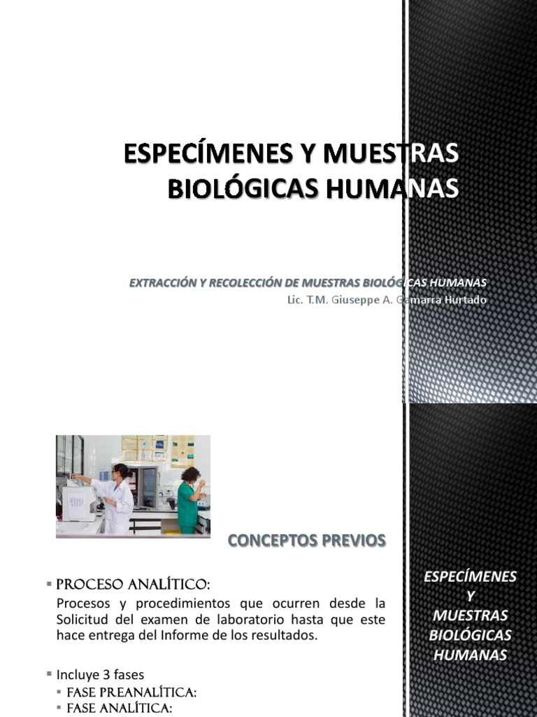 CLASE 1 - Especímenes y Muestras Biológicas Humanas | PDF | Orina ...