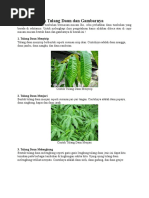 Jenis Jenis Batang Tumbuhan | PDF | Sains & Matematika