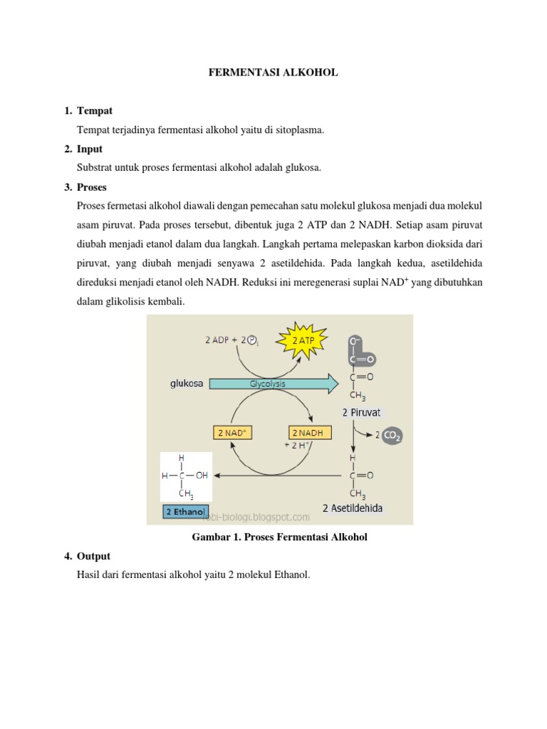 Fermentasi Alkohol | PDF