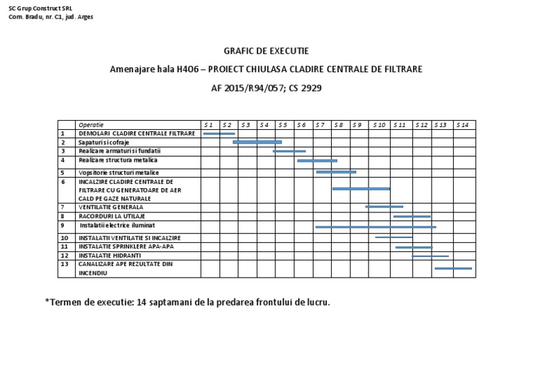 Model grafic de executie.docx