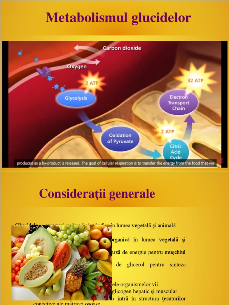 Metabolismul Glucidic An I AMG | PDF