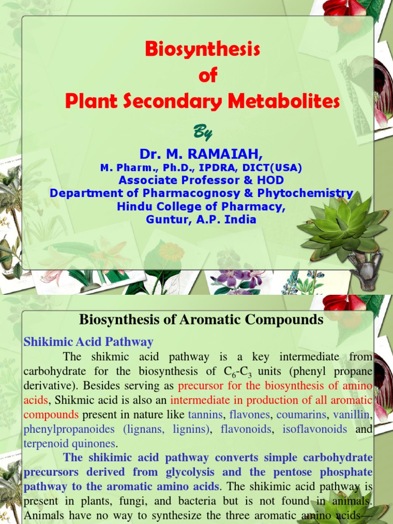 Biosynthesis of Plant Secondary Metabolites | Biosynthesis | Alkaloid