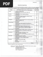 ADL de Katz | PDF | Autonomie