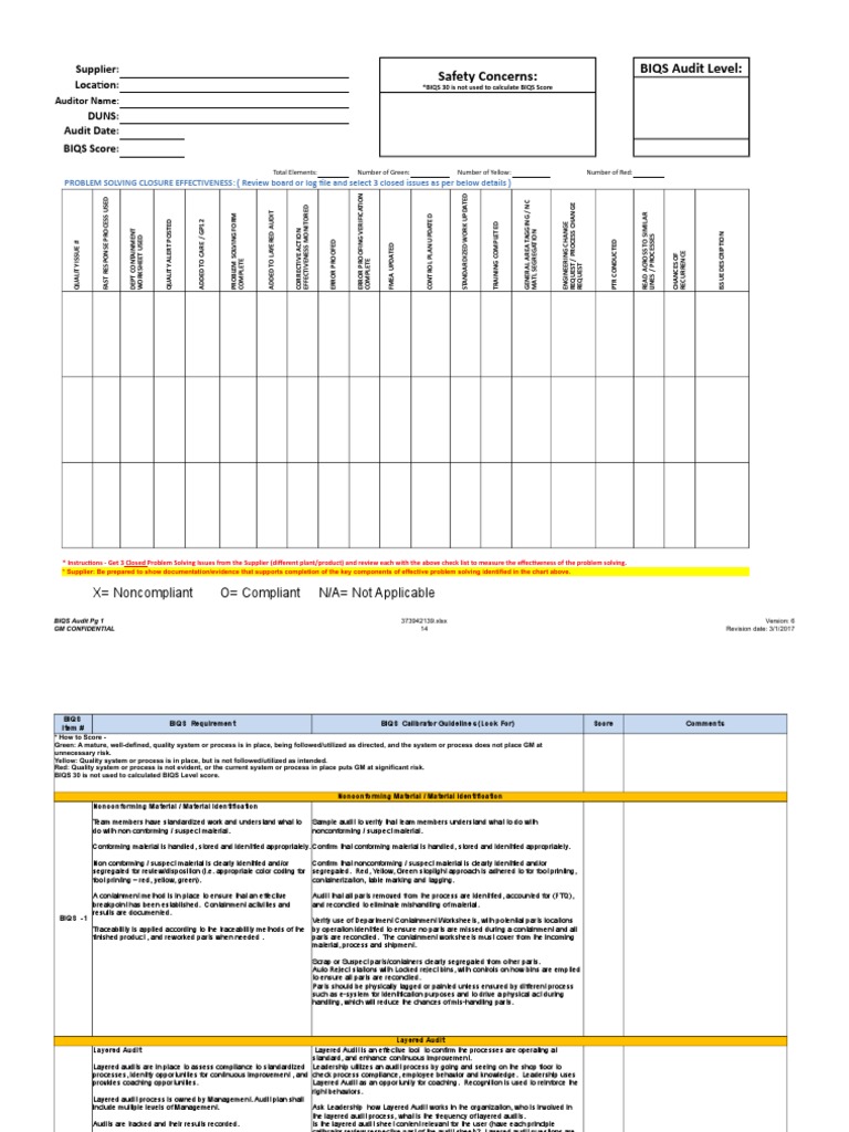 BIQS Audit and Problem Solving Guide | PDF | Audit | Calibration