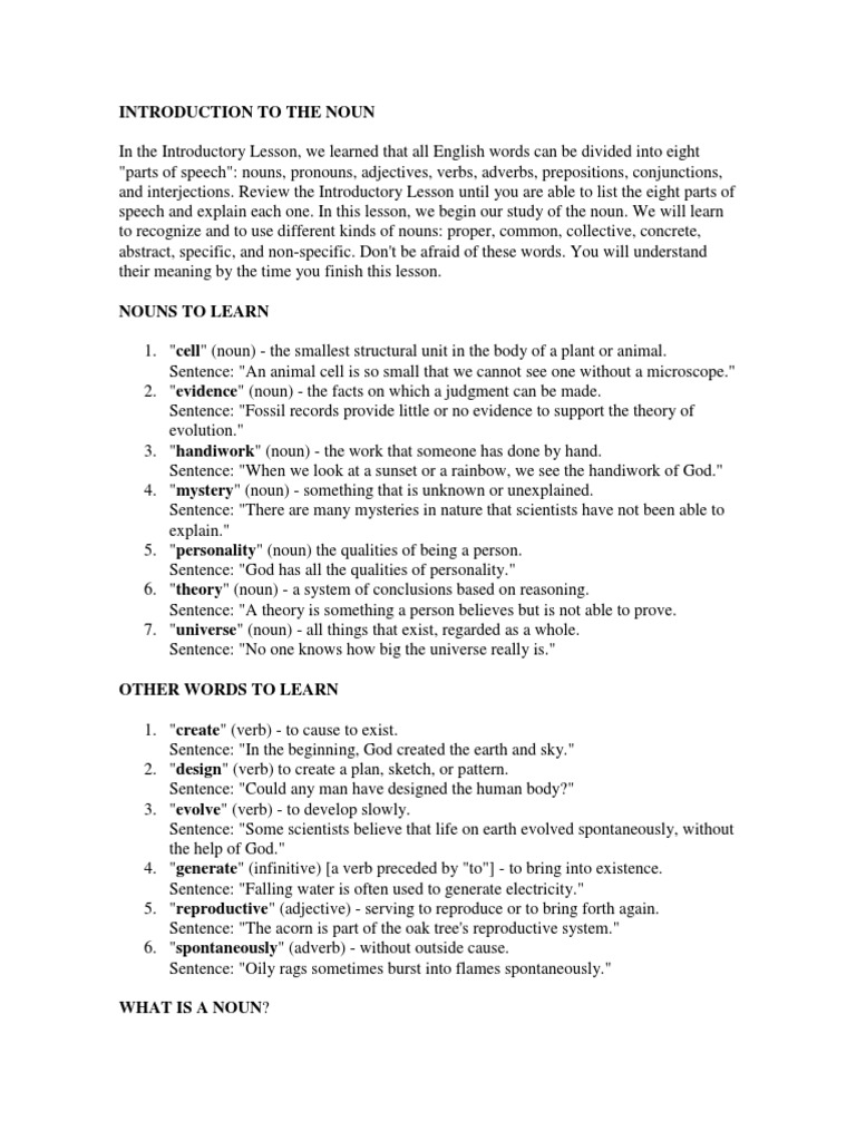Introduction To The Noun | PDF | Noun | Verb