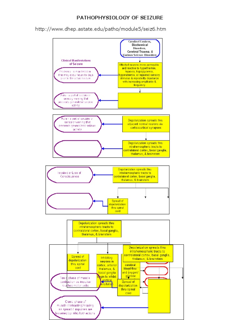 Pathophysiology of Seizures | PDF