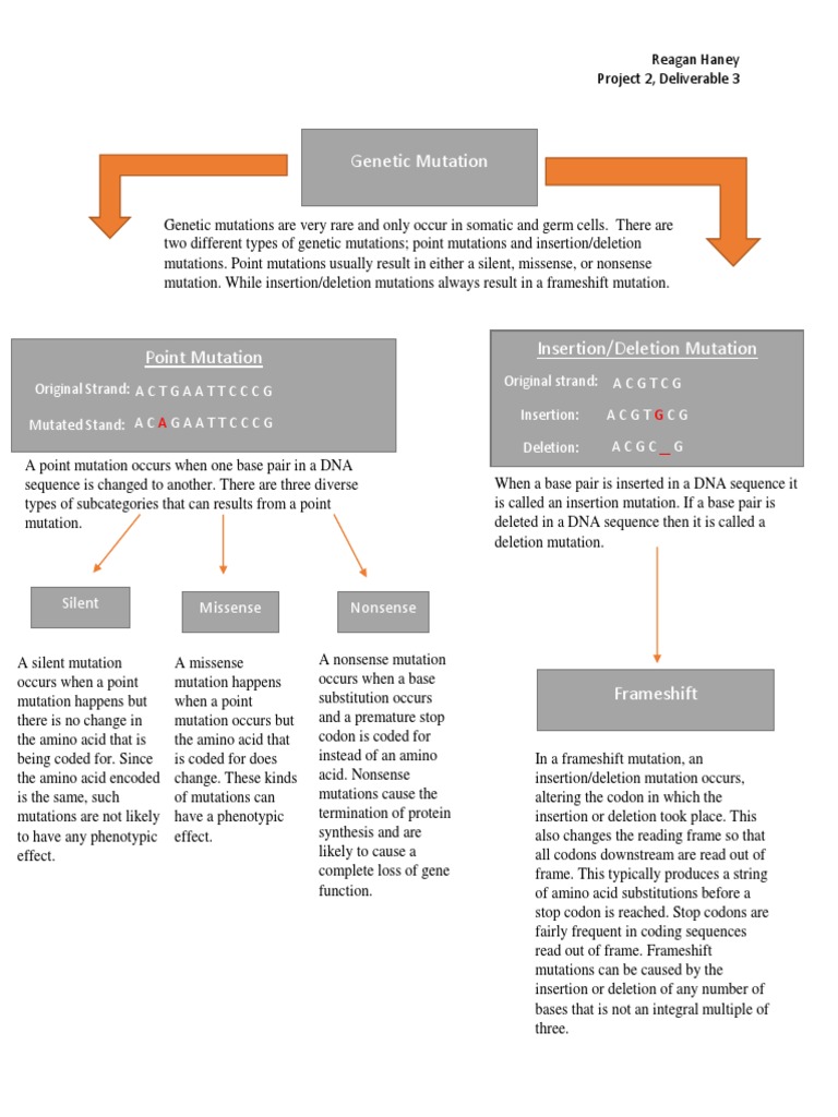 Types of Genetic Point Mutations | PDF | Point Mutation | Mutation