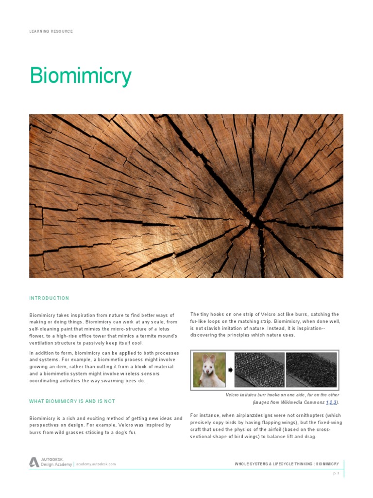 Biomimicry: Learning Resource | PDF | Design | Biology