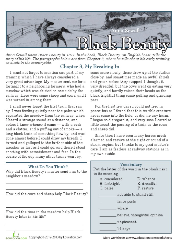Reading Comprehension Black Beauty | PDF | Black Beauty
