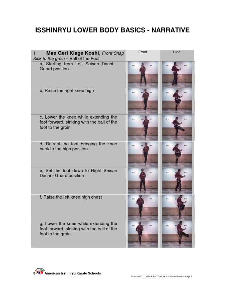 Novice Groin and Knee Kicks in Isshinryu | PDF | Human Anatomy ...