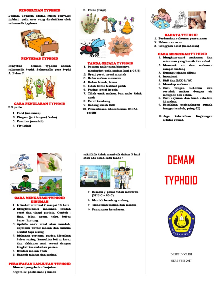 Leaflet Thypoid | PDF