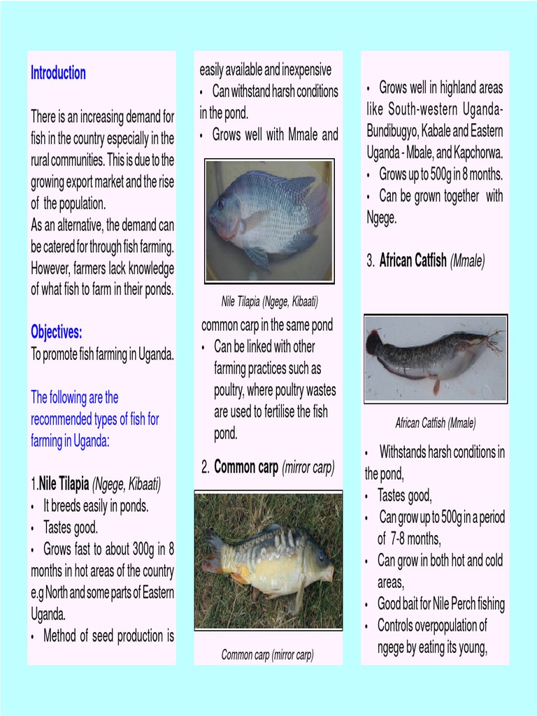 Brochure Fish For Farming | PDF | Fish | Natural Resource Management