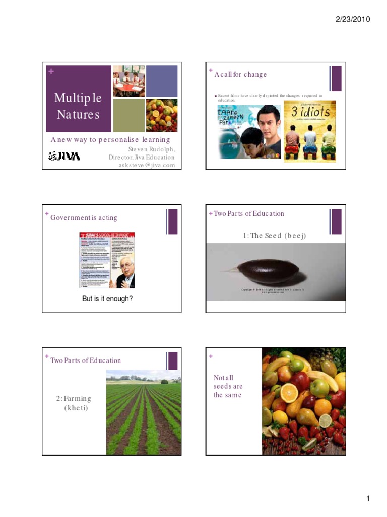 StevenRudolf Multiple Natures | PDF | Learning | Quality Of Life