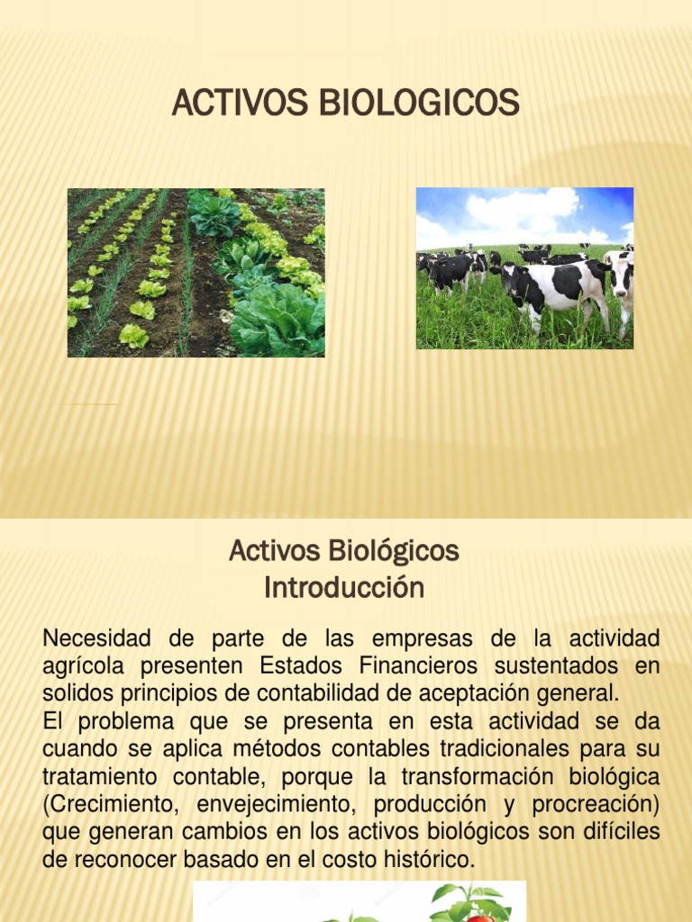 ACTIVOS BIOLOGICOS (1) | Agricultura | Mercado (economía) | Prueba ...