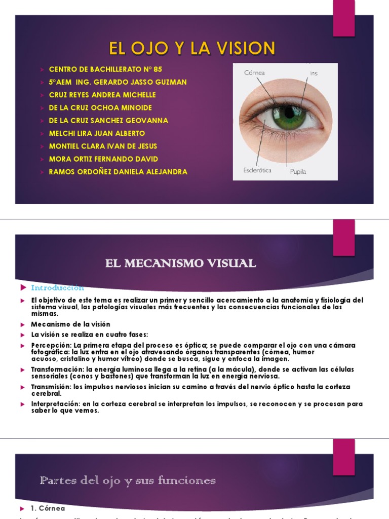 El Ojo y La Vision | Descargar gratis PDF | Ojo humano | Percepción visual