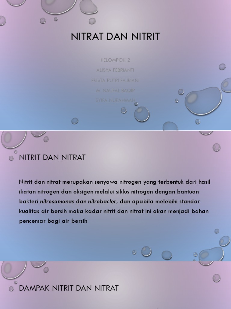 Nitrat Dan Nitrit | PDF